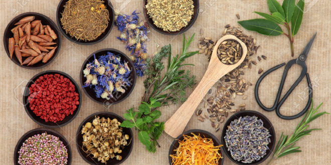 Natural Remedies For Yeast Infections While Breastfeeding