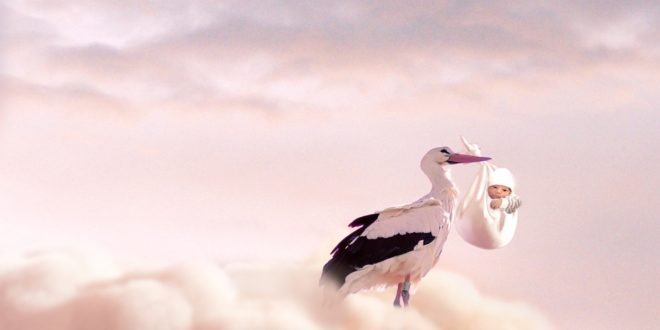 Ask Anne: What are Stork Bites and Angel Kisses?